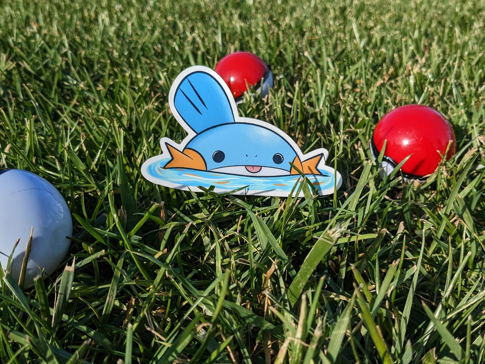 Pokemon Mudkip / Matte Vinyl / Waterproof / 2in - 4in - Etsy