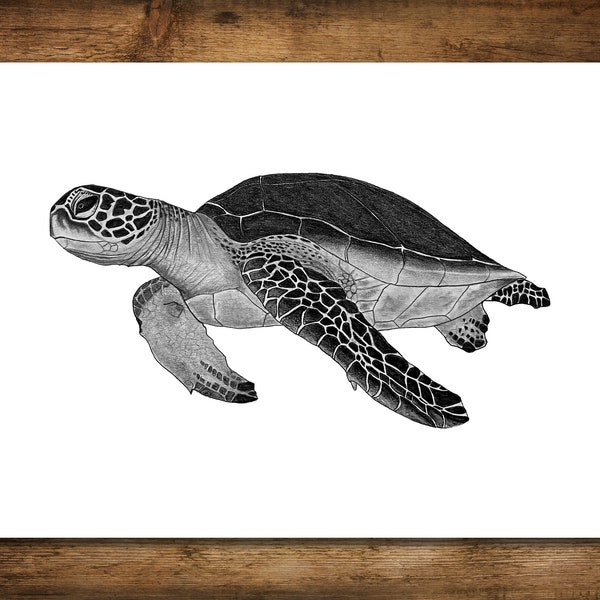 Hawaiian Sea Turtle - Etsy