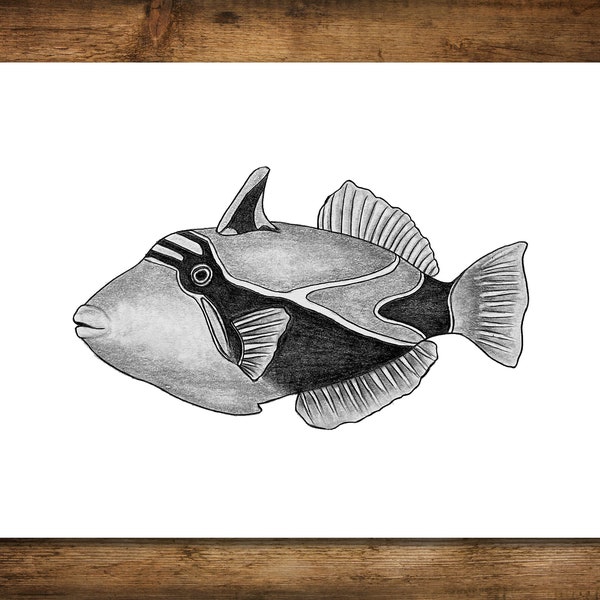 Triggerfish Art - Etsy