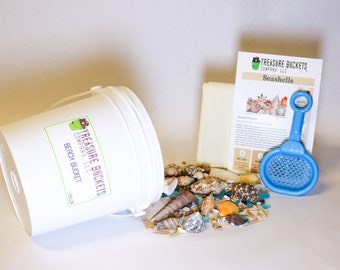 Treasure Hunting Kit - Etsy