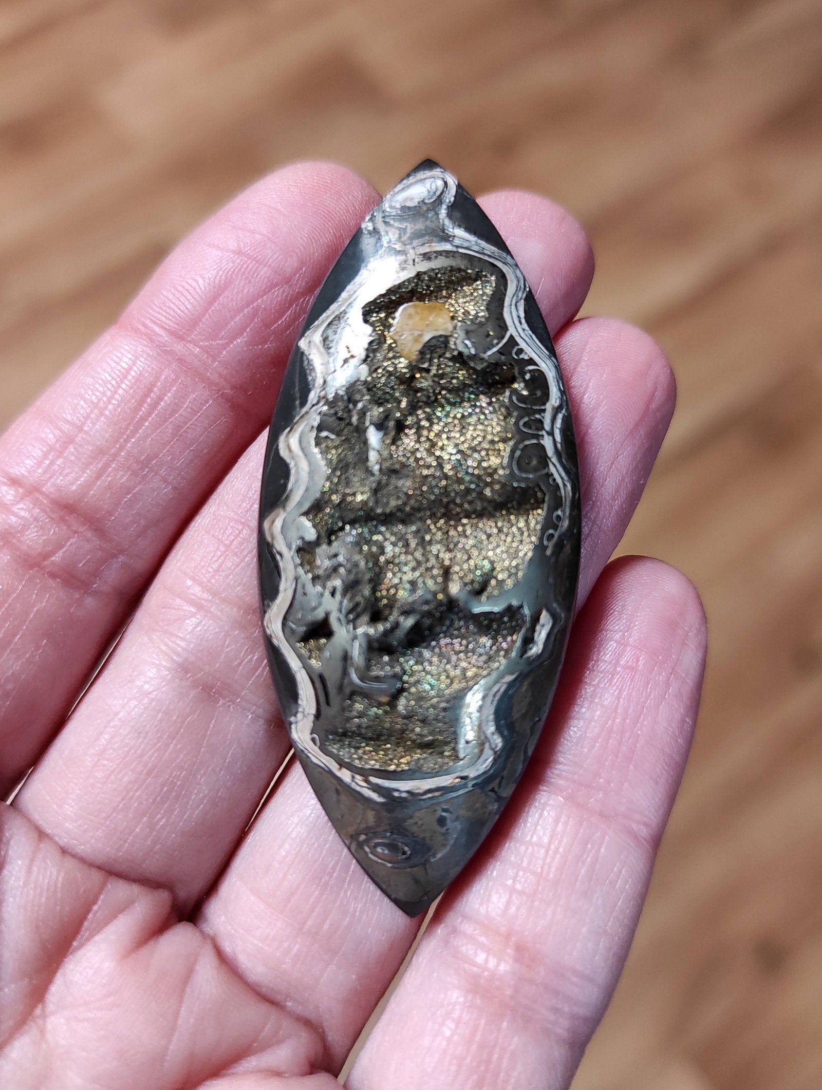 Simbircite-ammonite Geode ID 2732 60x26 Mm - Etsy