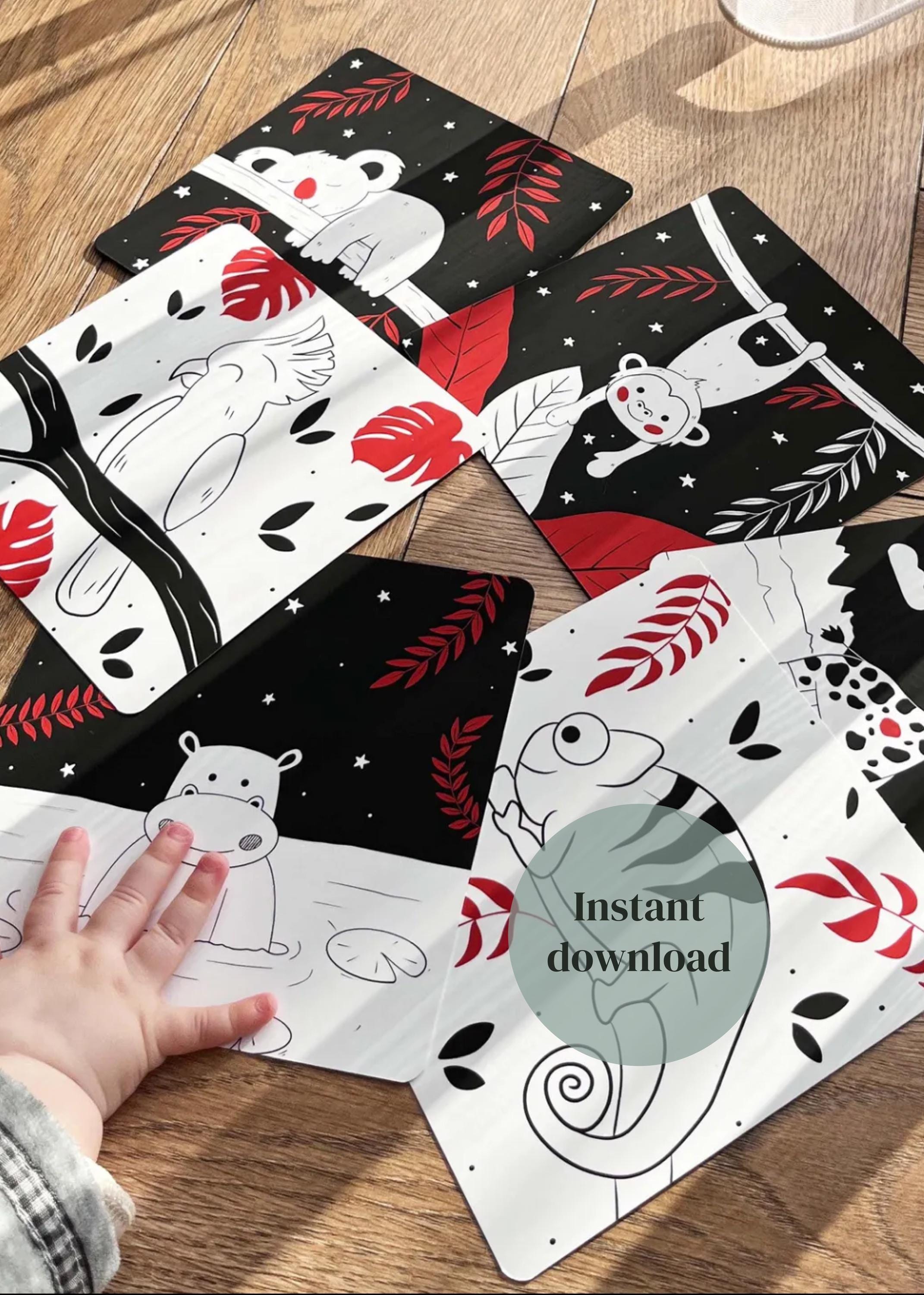 Printable Sensory Baby Cards, Print at Home Infant Flashcards, High ...