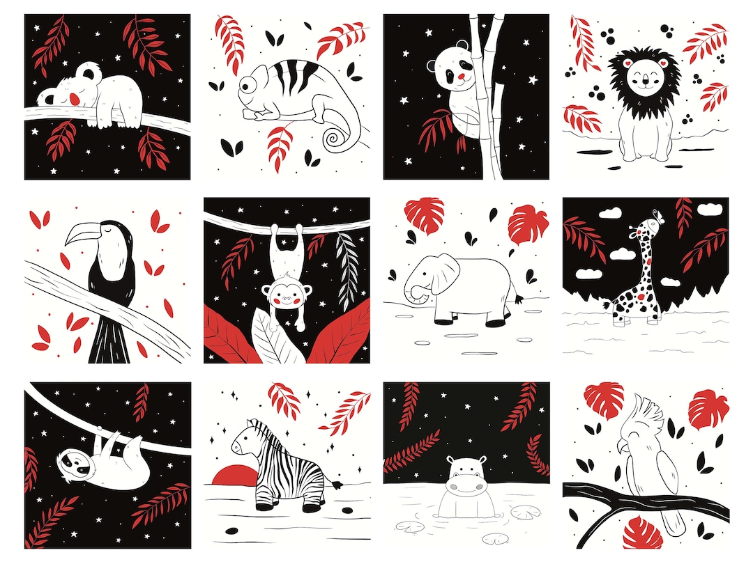 Sensory Baby Cards for Infant Flashcards for Newborn High Contrast ...