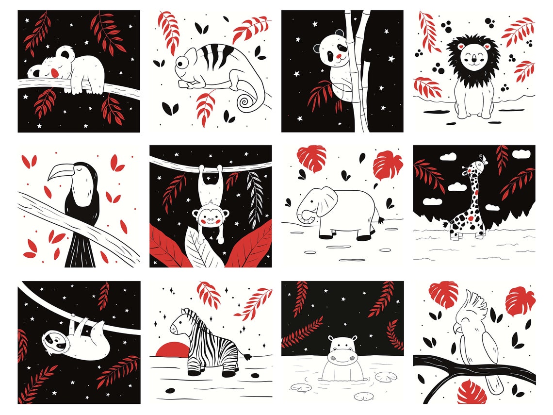 Sensory Baby Cards for Infant Flashcards for Newborn High Contrast ...