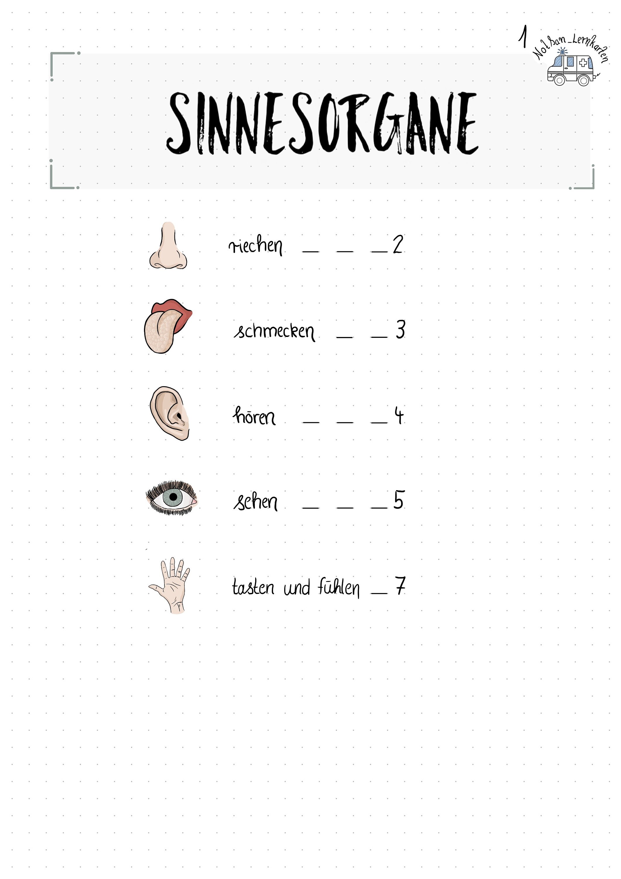 Sensory Organs, Digital Learning Card Set (DIN A4) - Etsy