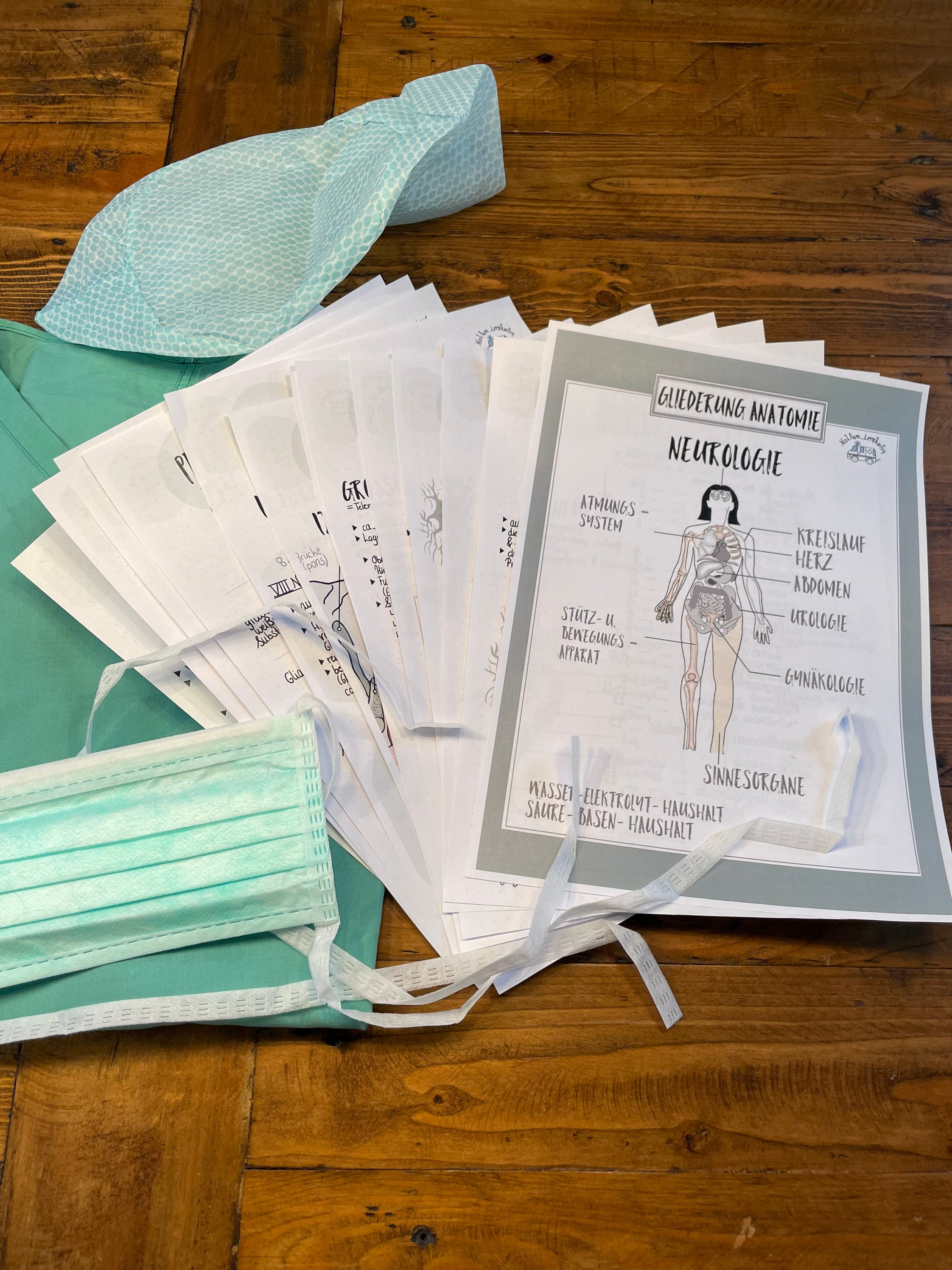 Nervous System Flashcard Set - Etsy