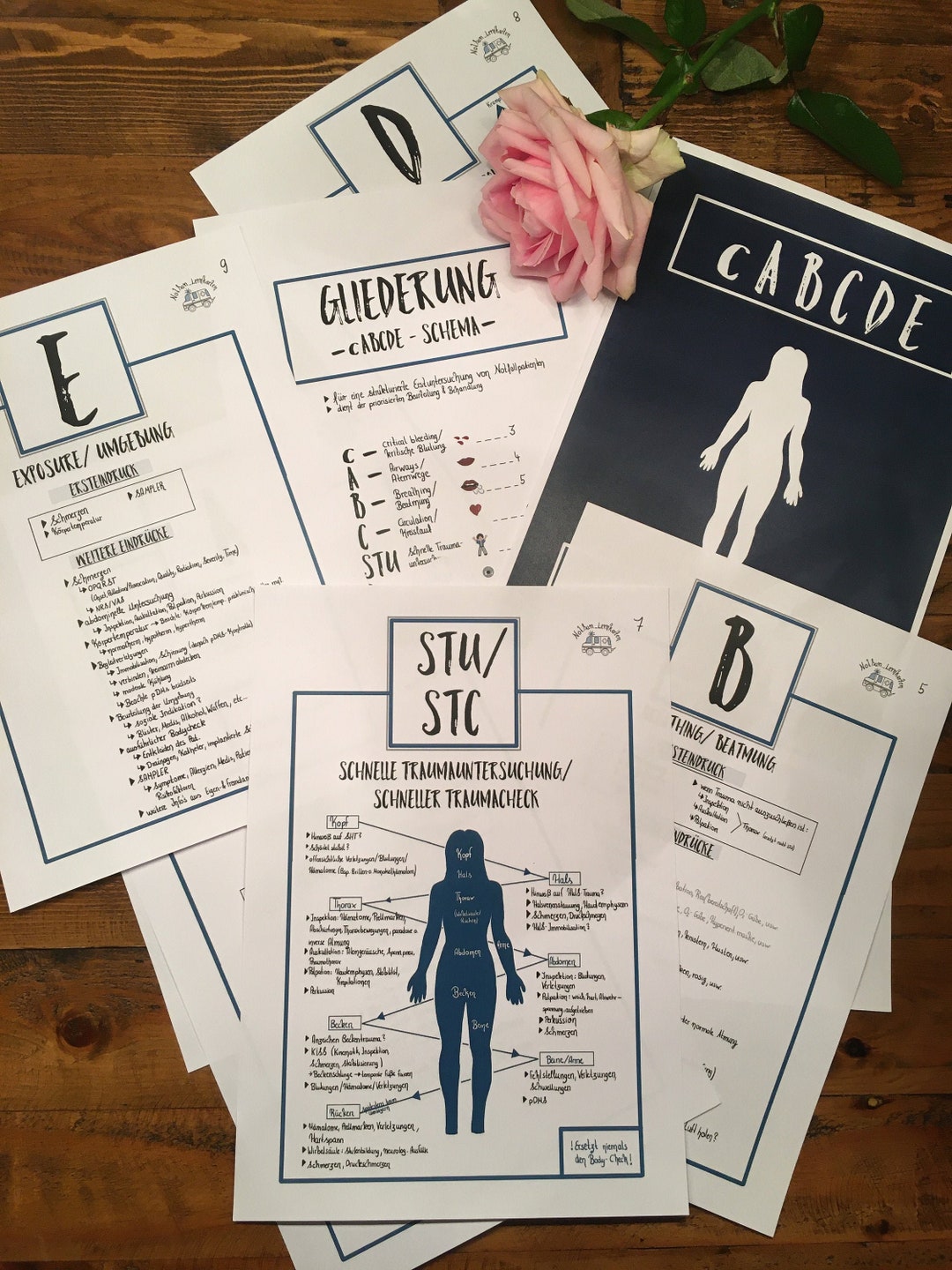 ABCDE - Scheme, Learning Card Set (DIN A4) - Etsy