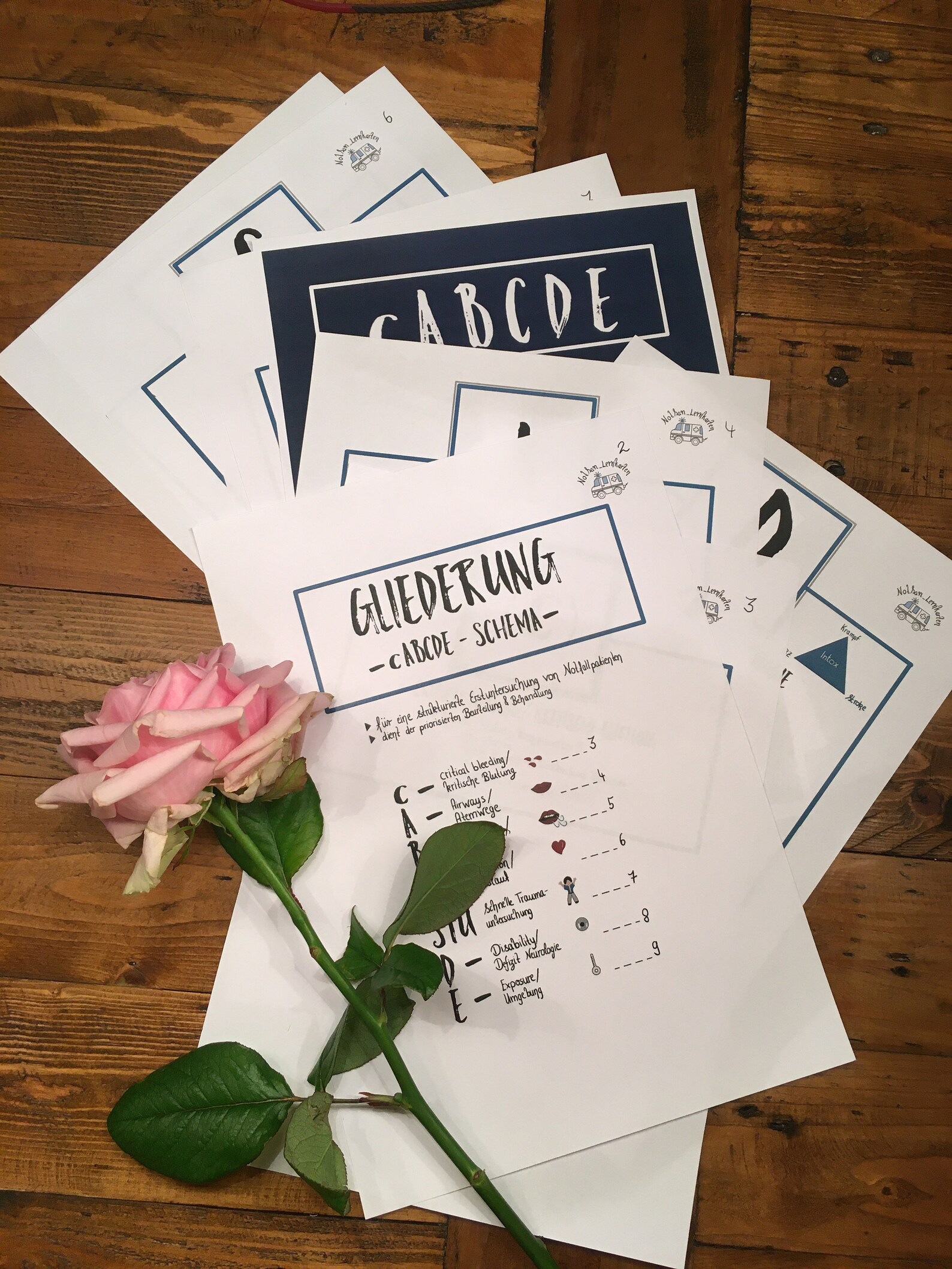 ABCDE - Scheme, Learning Card Set (DIN A4) - Etsy