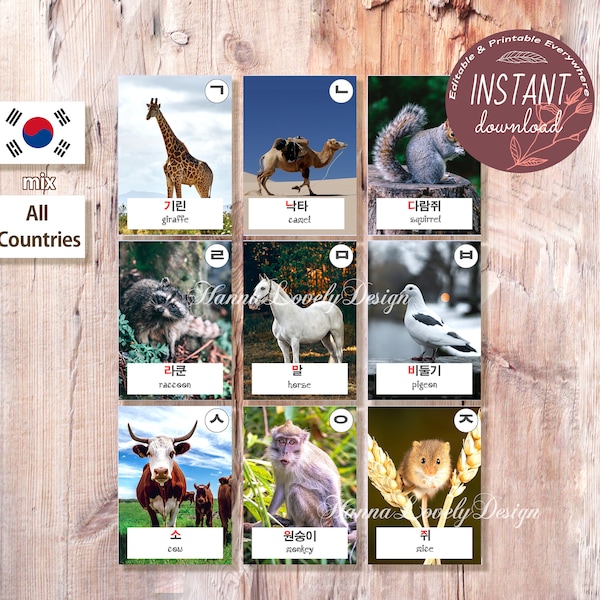 Korean Consonant Flash Cards - Etsy