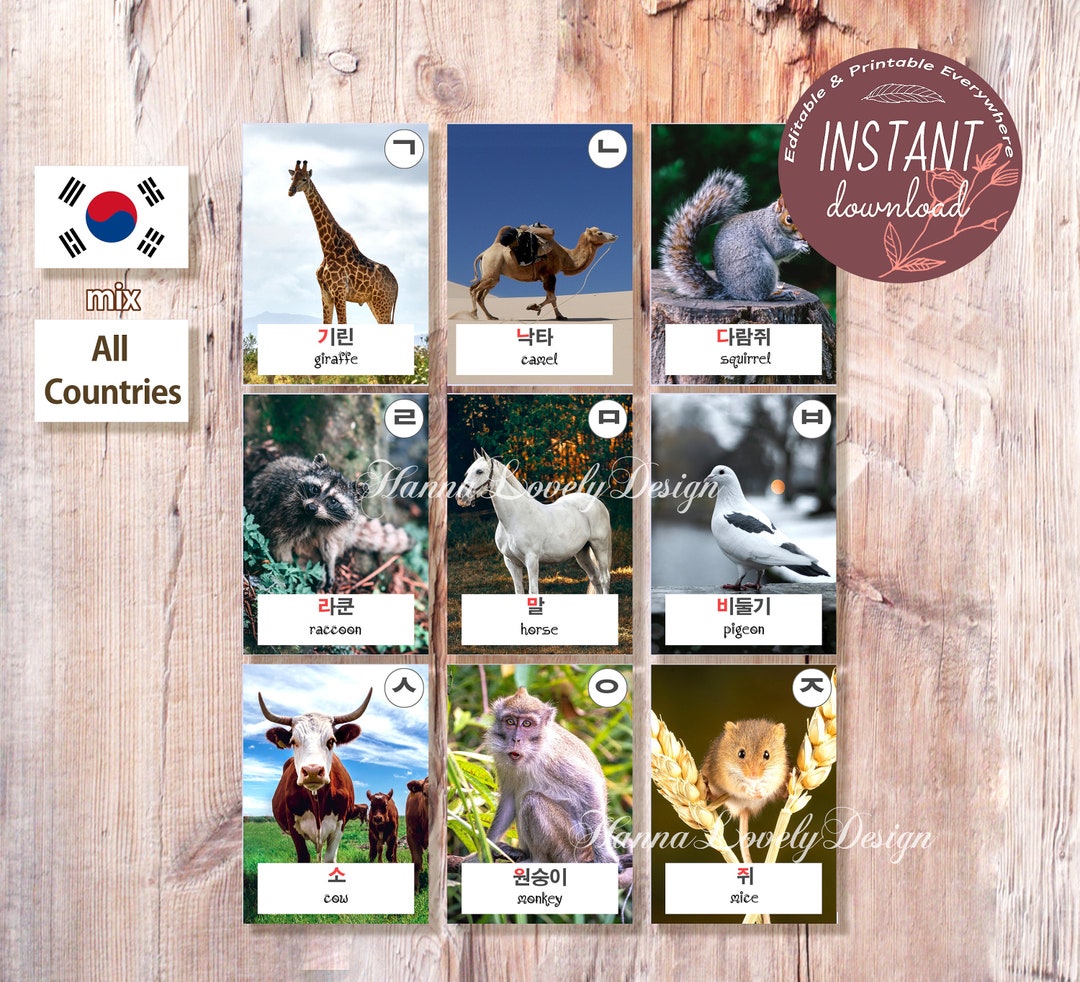 Editable Korean Animal Flash Cards Homeschooling Montessori Flash 3 ...