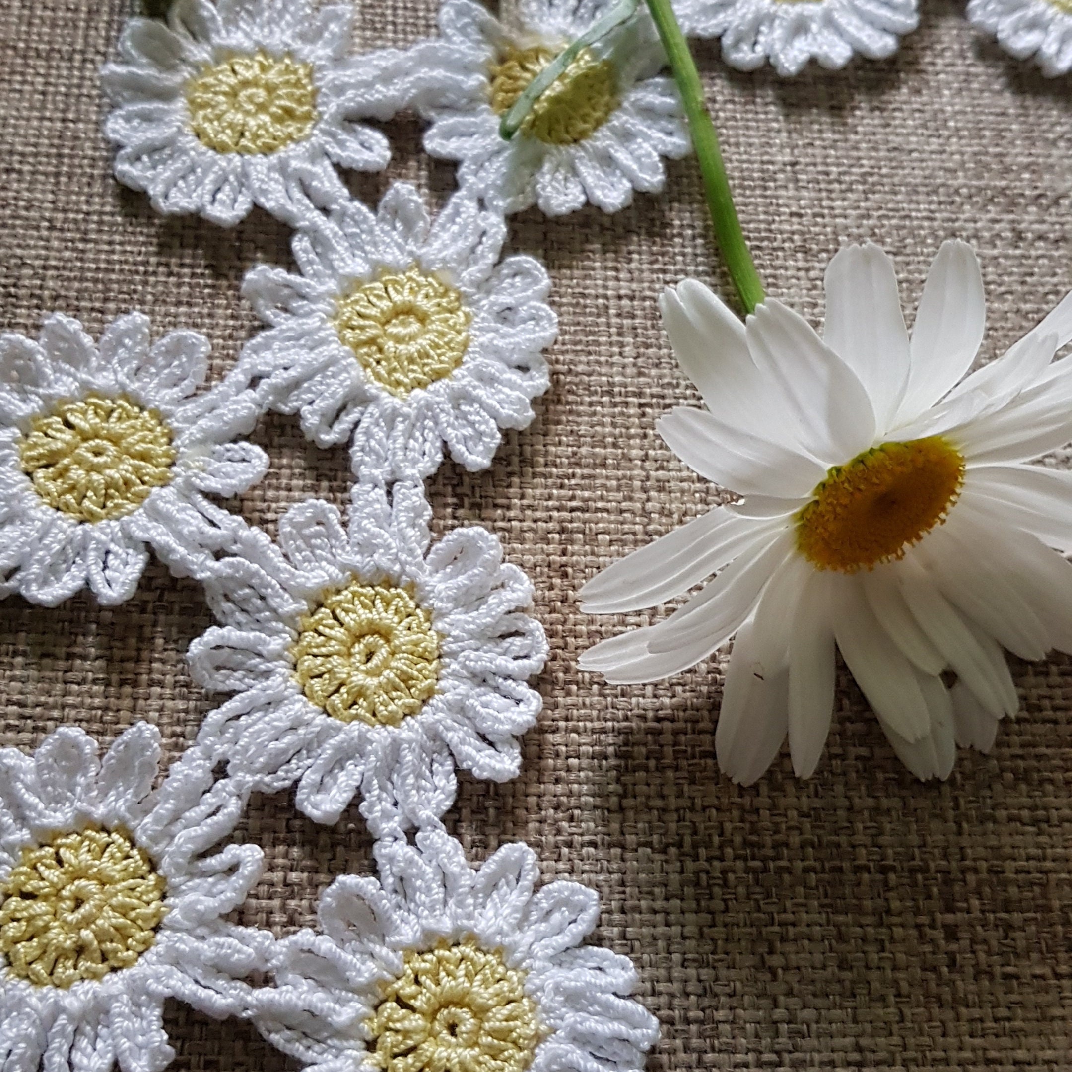 Crochet Daisy Collar Necklace: Handmade Cotton Irish Crochet Ribbon - Etsy