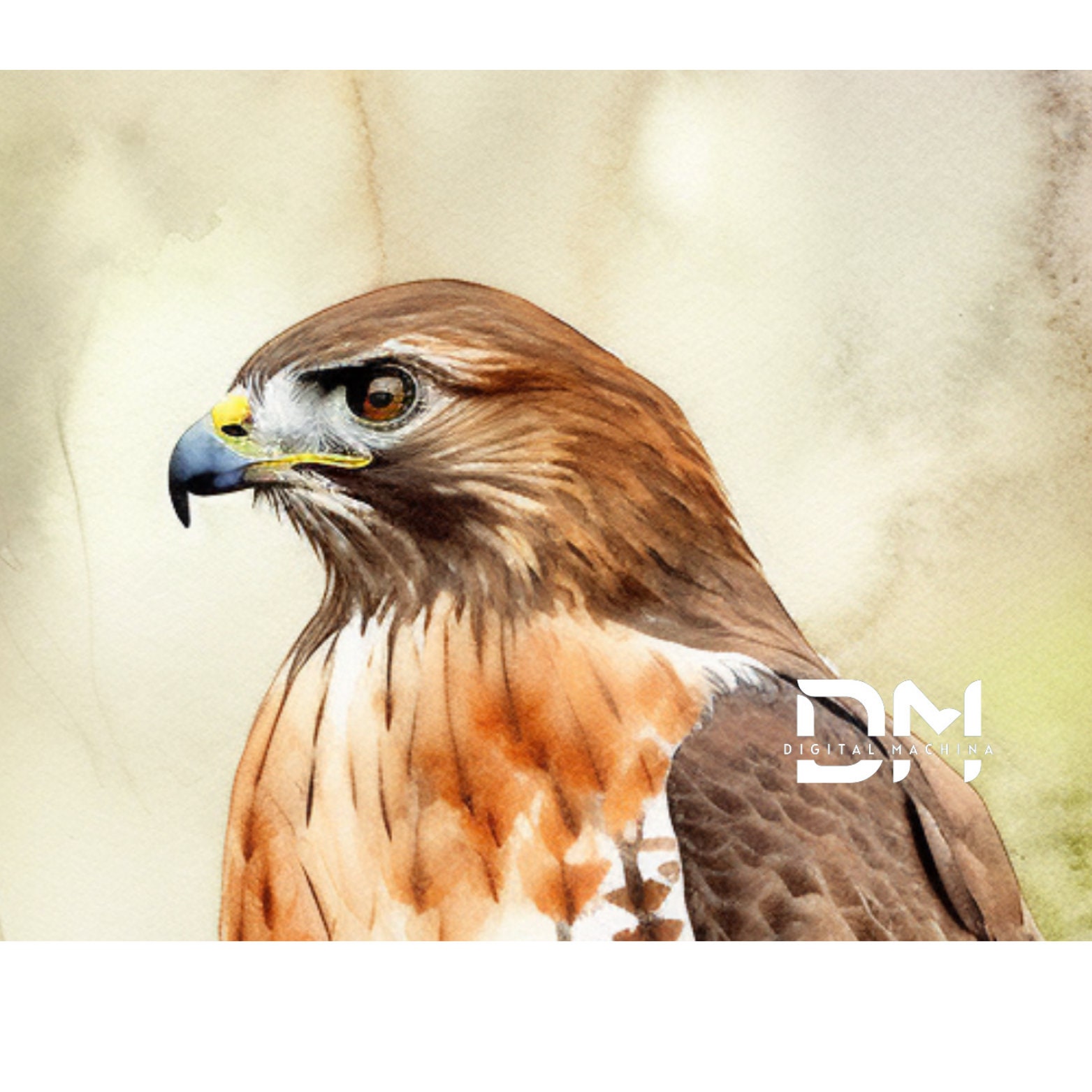 Original Red Tailed Hawk Watercolor Art Print (digital Download) - Etsy