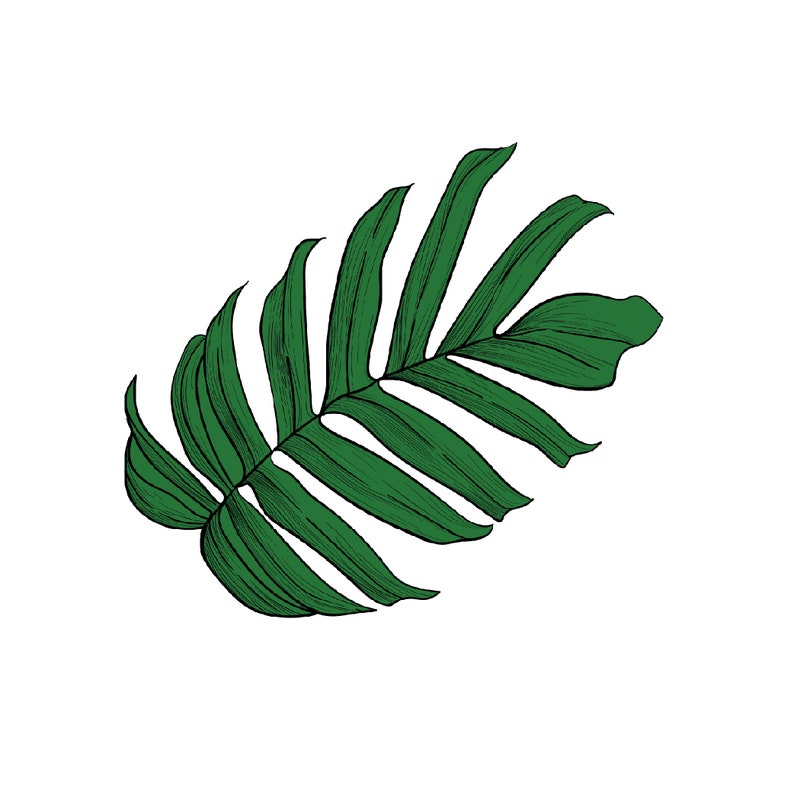 Monstera Blad SVG Tropische Bladeren Svg Silhouet Gesneden - Etsy Nederland