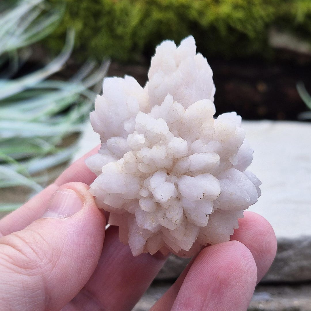 Flower Quartz, Pink Chrysanthemum Quartz Cluster - Etsy