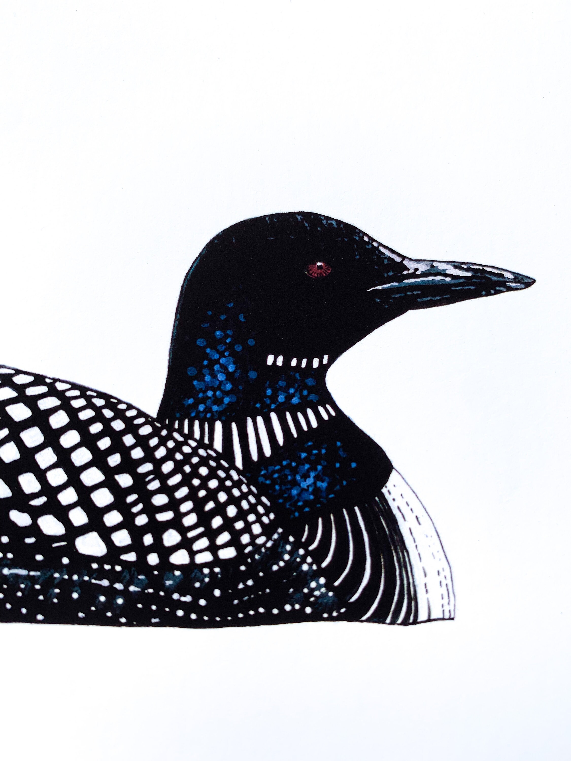 Common Loon Art Print, Canadian Wildlife Wall Art, Black and White Bird ...