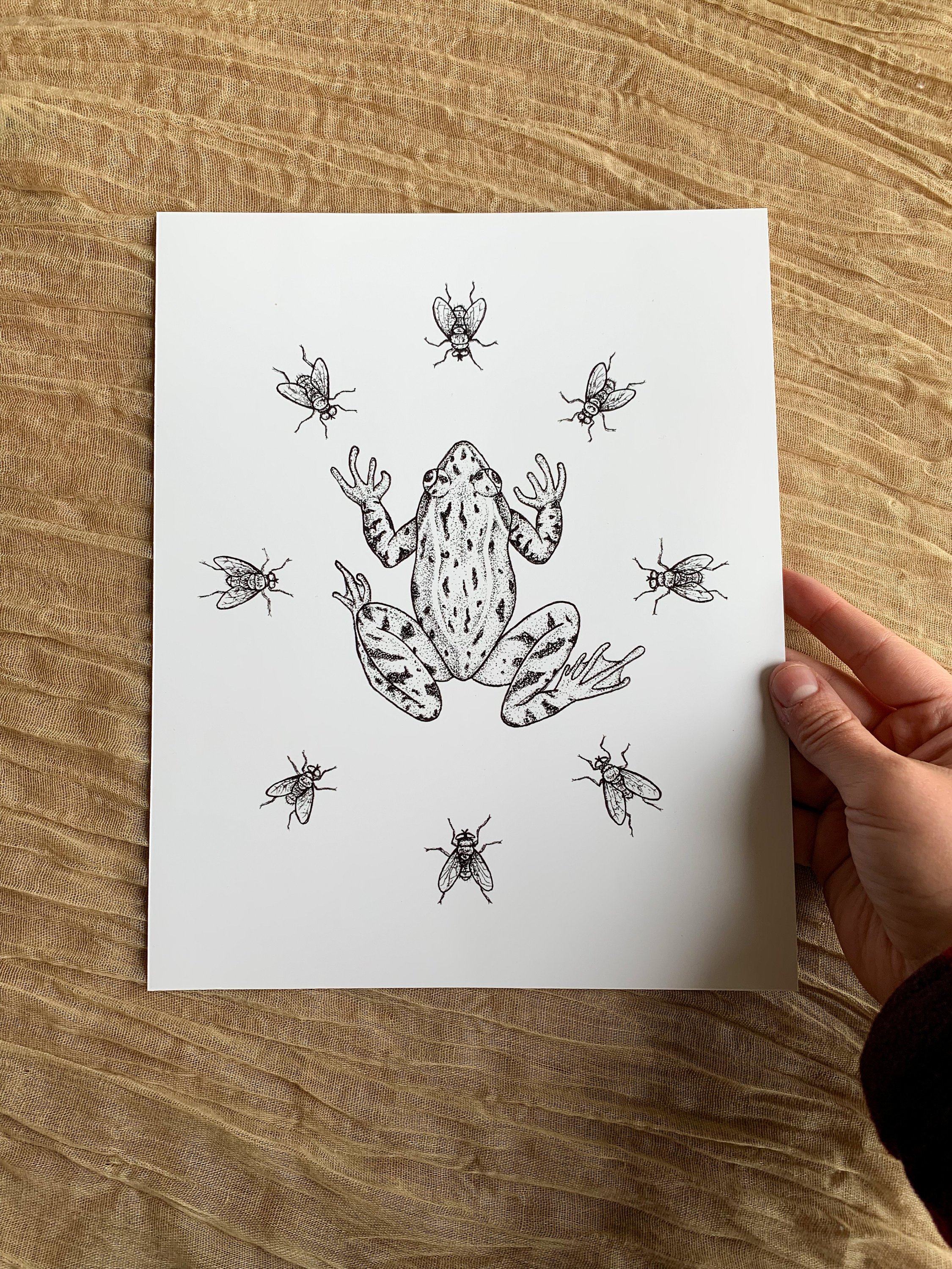 Black and White Nature Drawing Frog Art Print Goblincore - Etsy