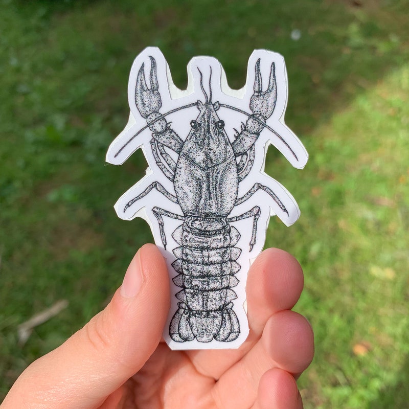 Crayfish - Etsy