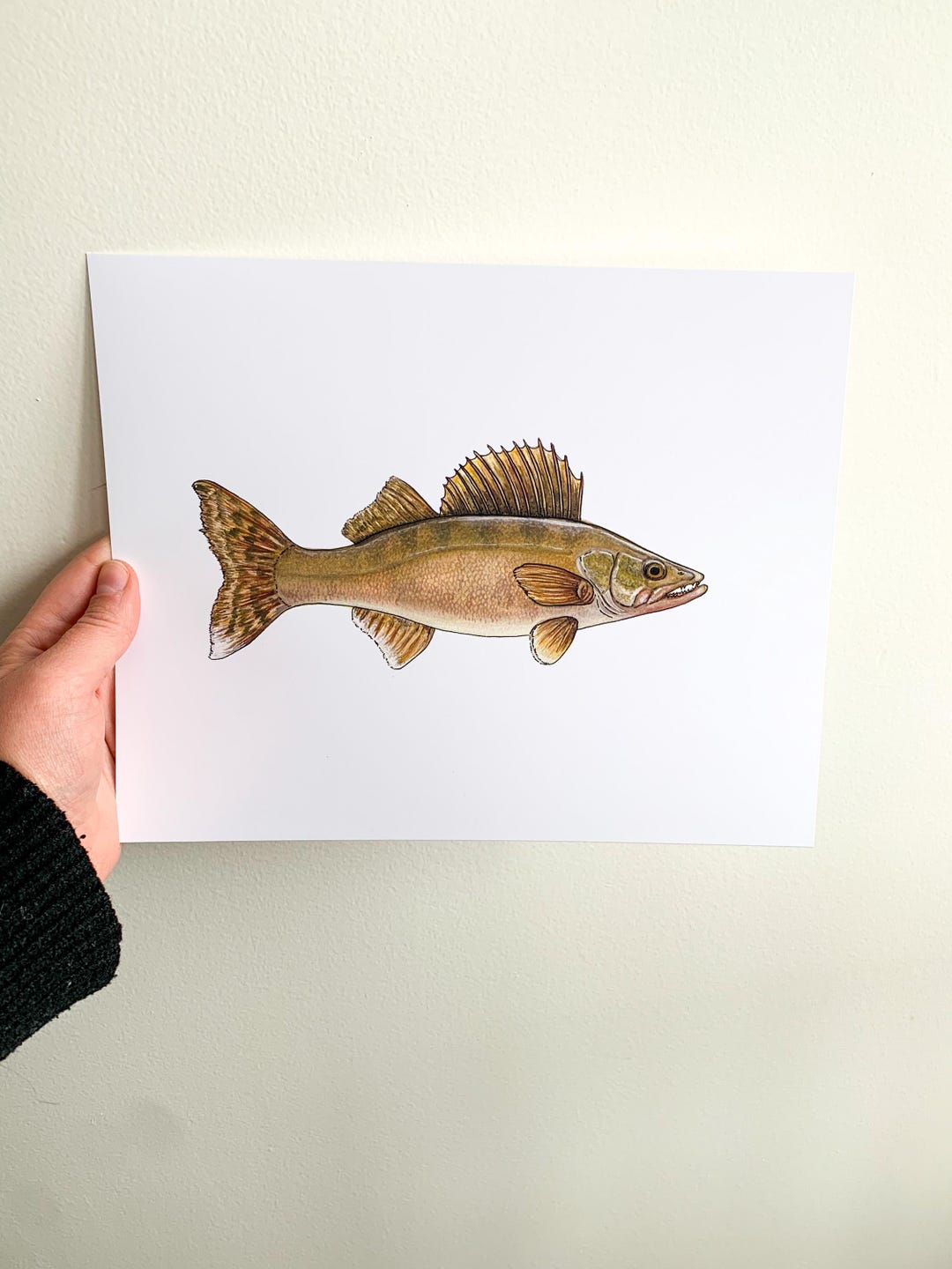 Walleye Fish Art Print, Watercolour and Gouache Painting, Cottagecore ...