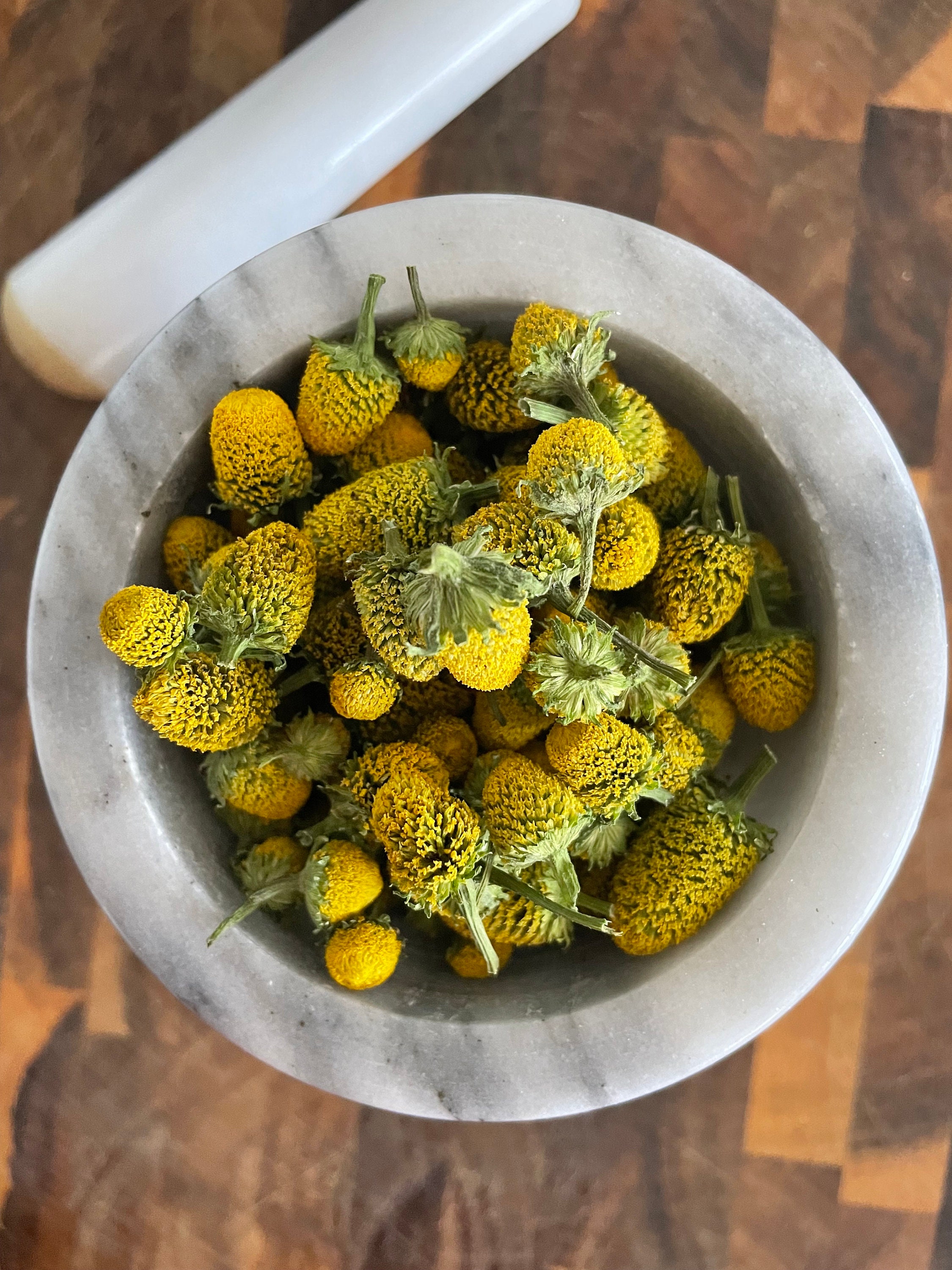 Dried Spilanthes Flower Buzz Buttons for Mixed Drinks - Etsy