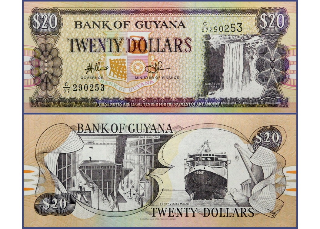 Authentic World Banknotes Guyana 20 Dollar Foreign Currency | Etsy