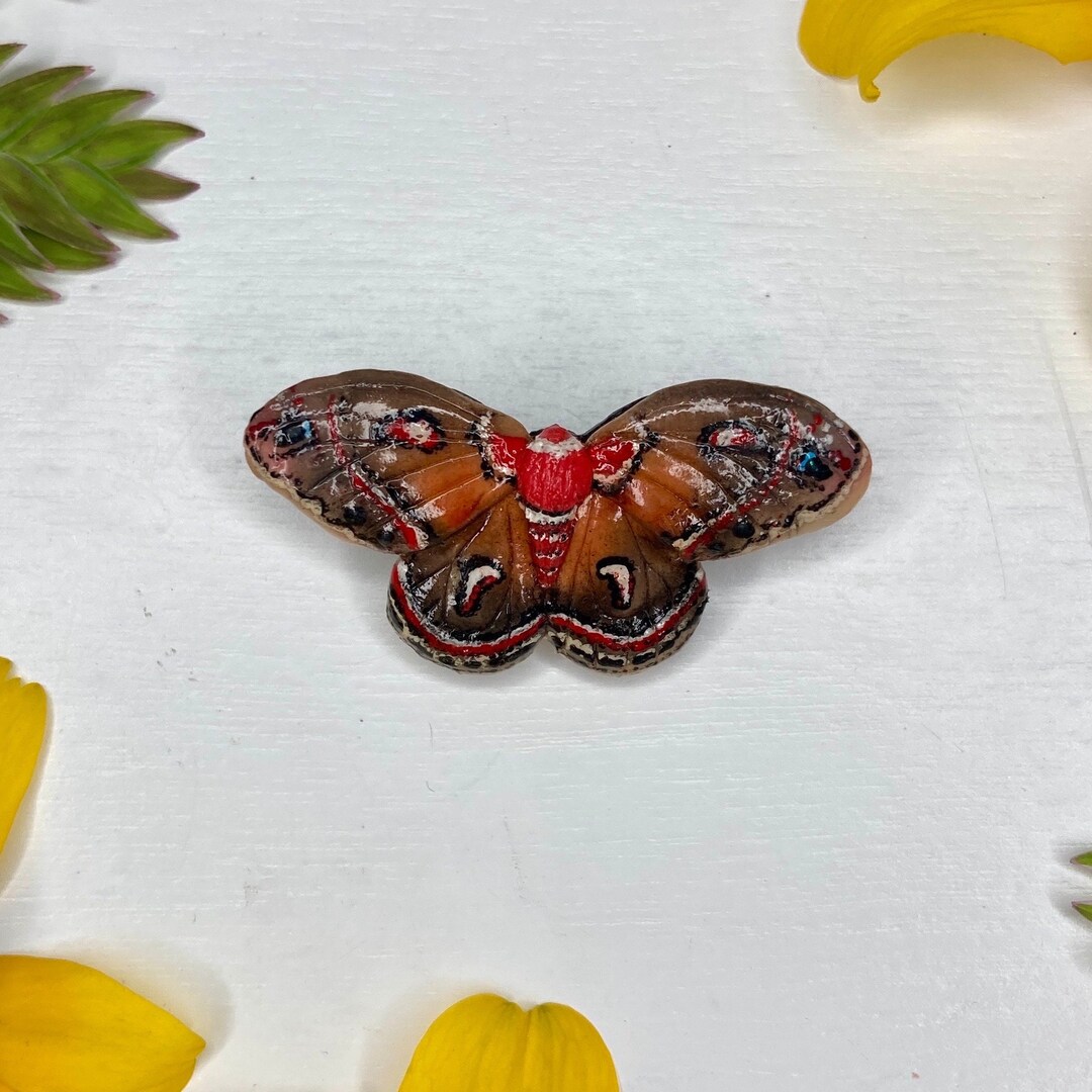 Cecropia Moth Brooch, Moth Lapel Pin, Polymer Clay Pin, Realistic Moth ...