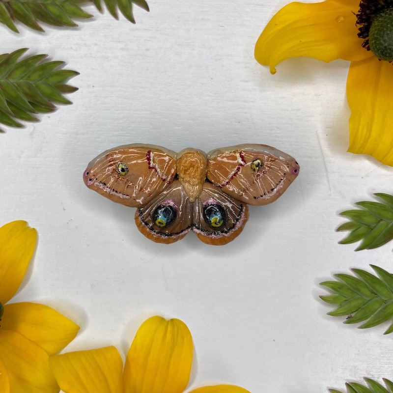 Moth Brooch - Etsy