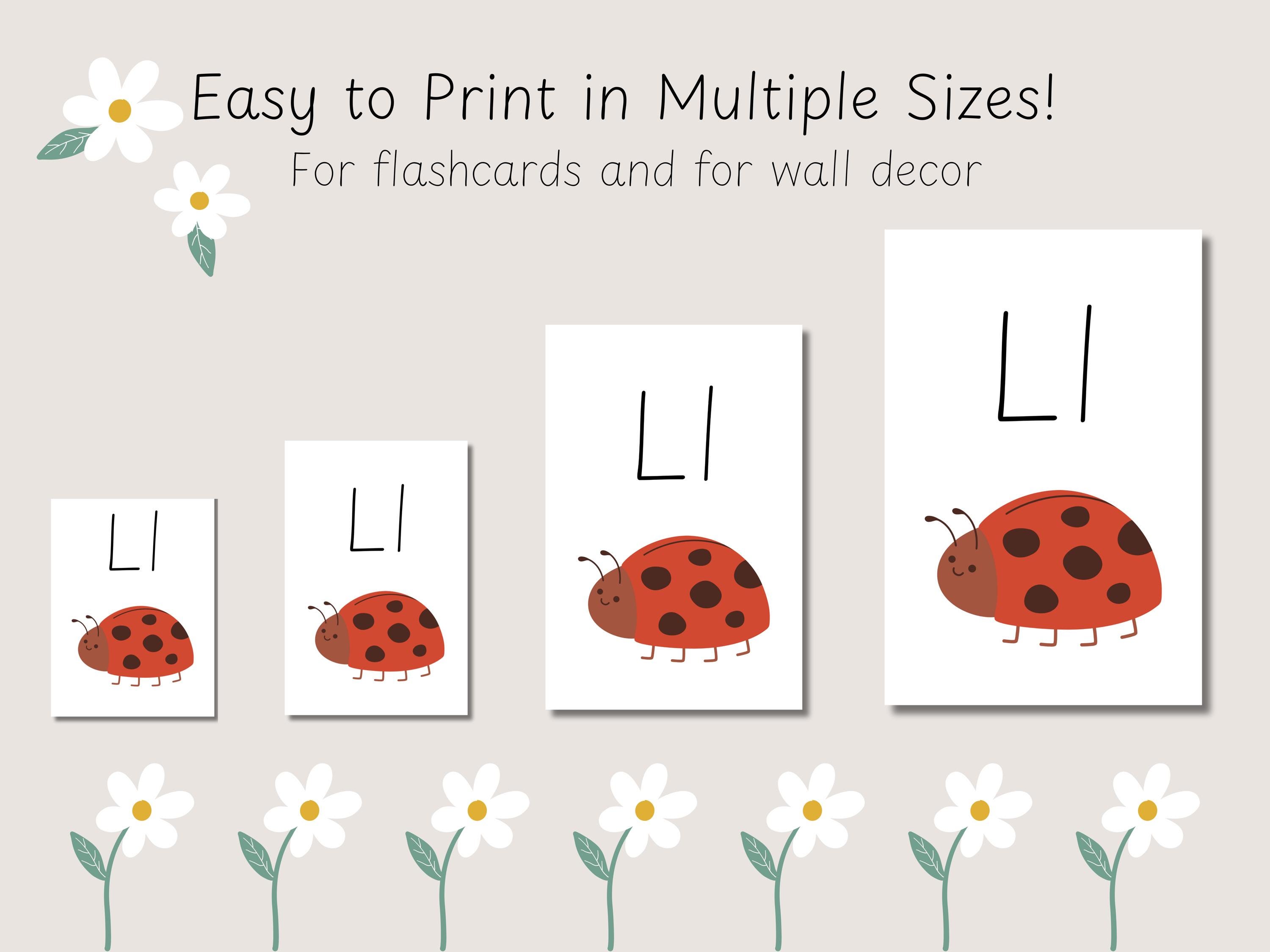 Alphabet Nature Flashcards - Boho Modern - ABC Printable - Homeschool ...