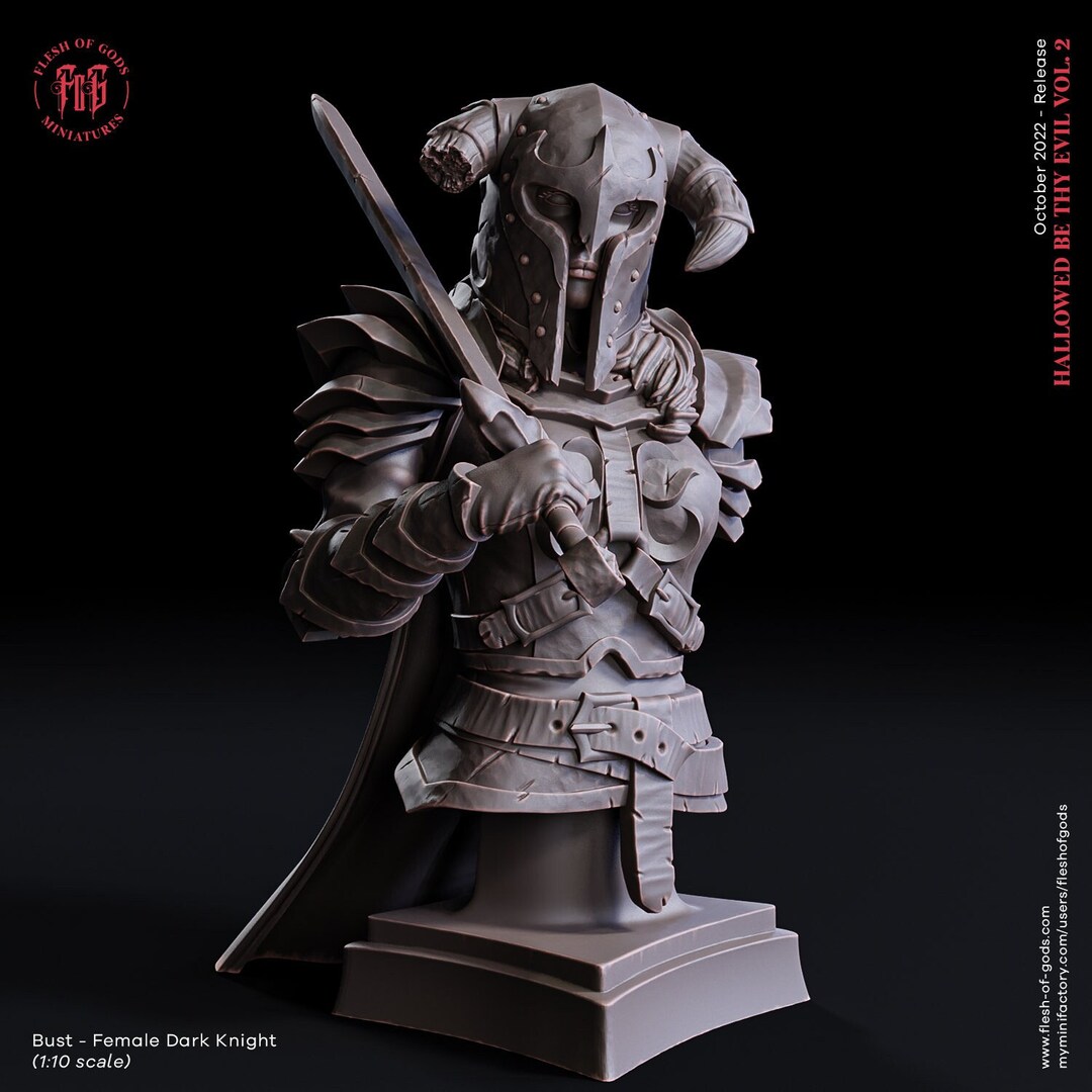 Female Dark Knight | Bust | Premium Resin DND Miniature | Hand Cleaned ...