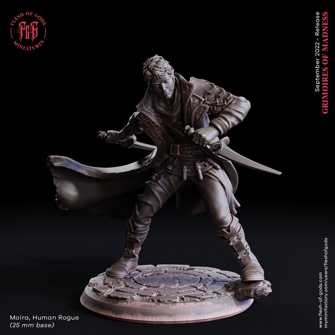 Human Rogue | Premium Resin DND Miniature | Hand Cleaned | 28mm 32mm ...