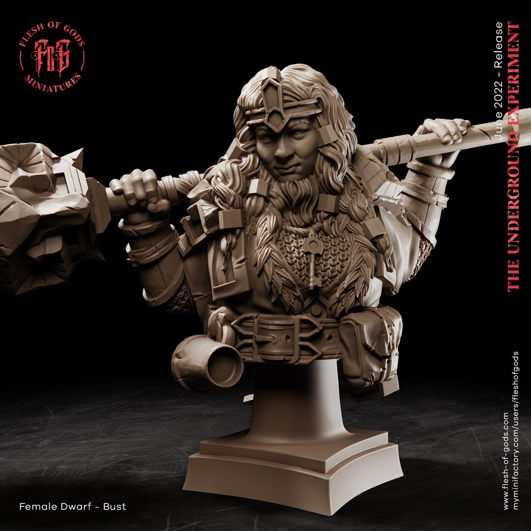 Female Dwarf | Bust | Premium Resin DND Miniature | Hand Cleaned | 28mm ...