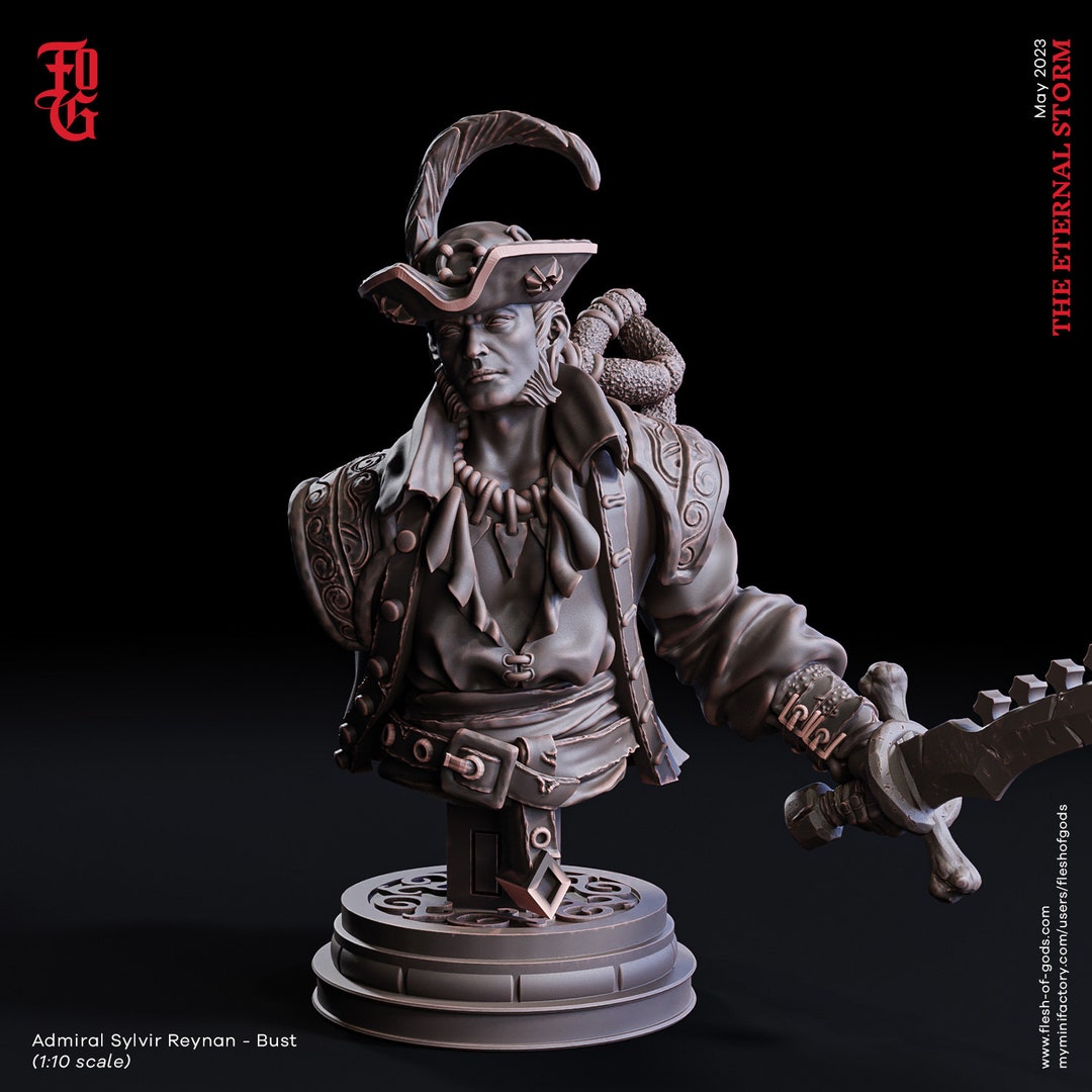 Admiral Silvyr Reynan | Bust | Premium Resin DND Miniature | Hand ...