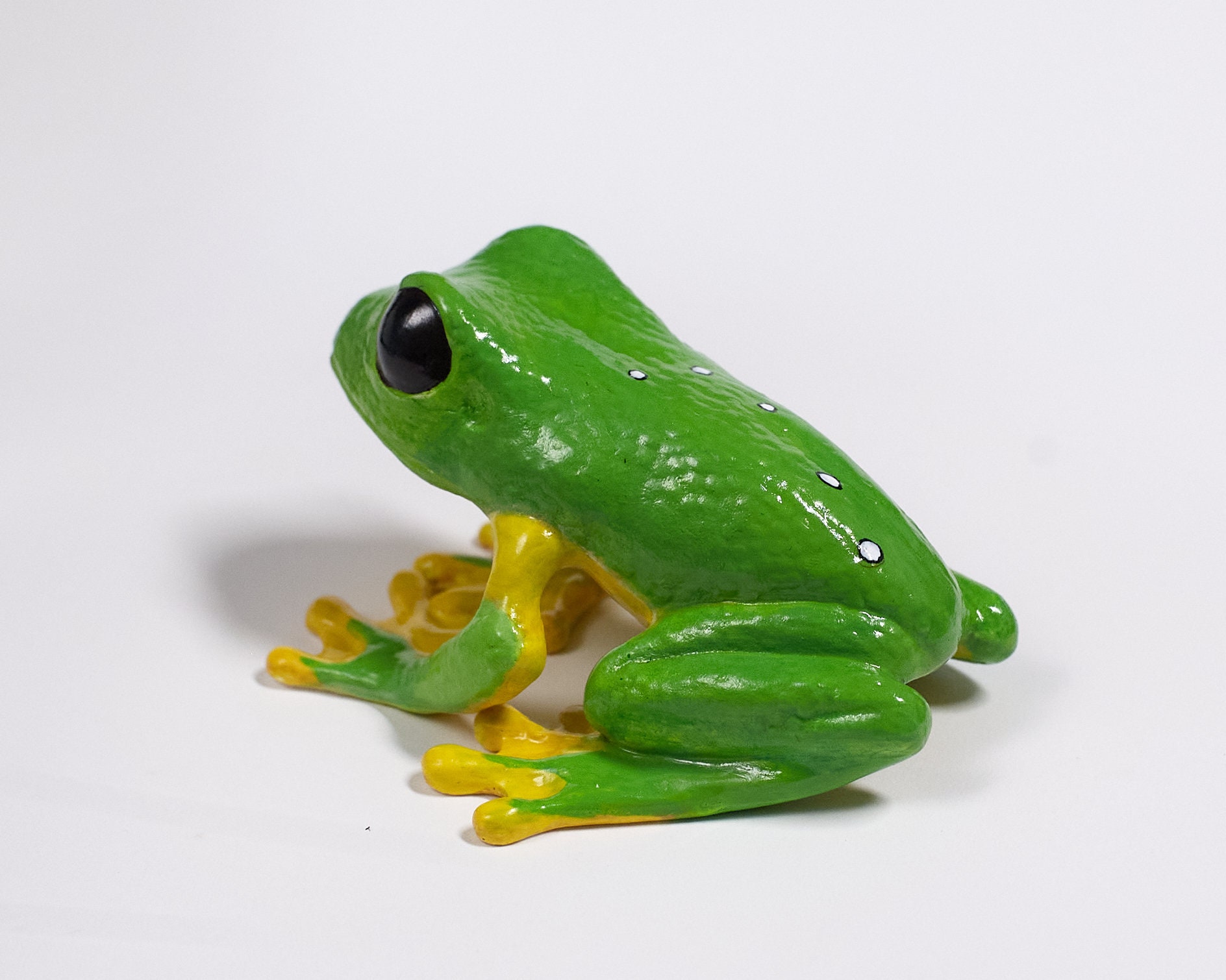 Realistic Frog With Unique Design - Etsy