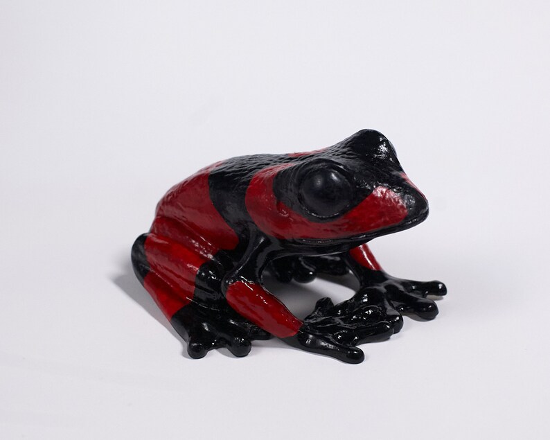 Realistic Frog With Unique Design - Etsy