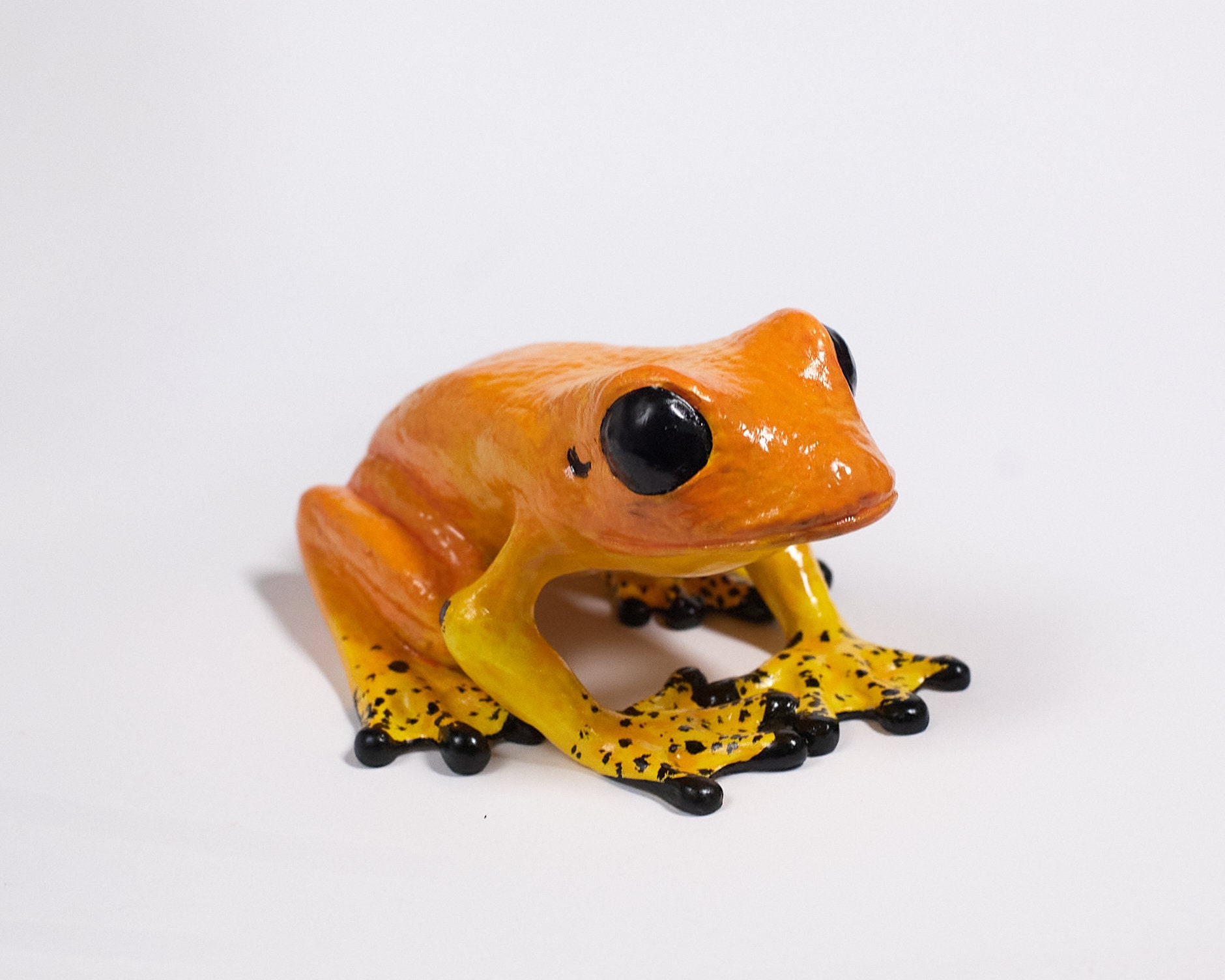 Realistic Frog With Unique Design - Etsy