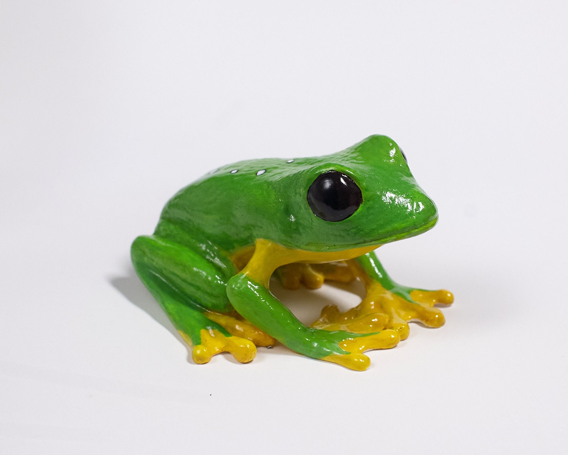 Realistic Frog With Unique Design - Etsy