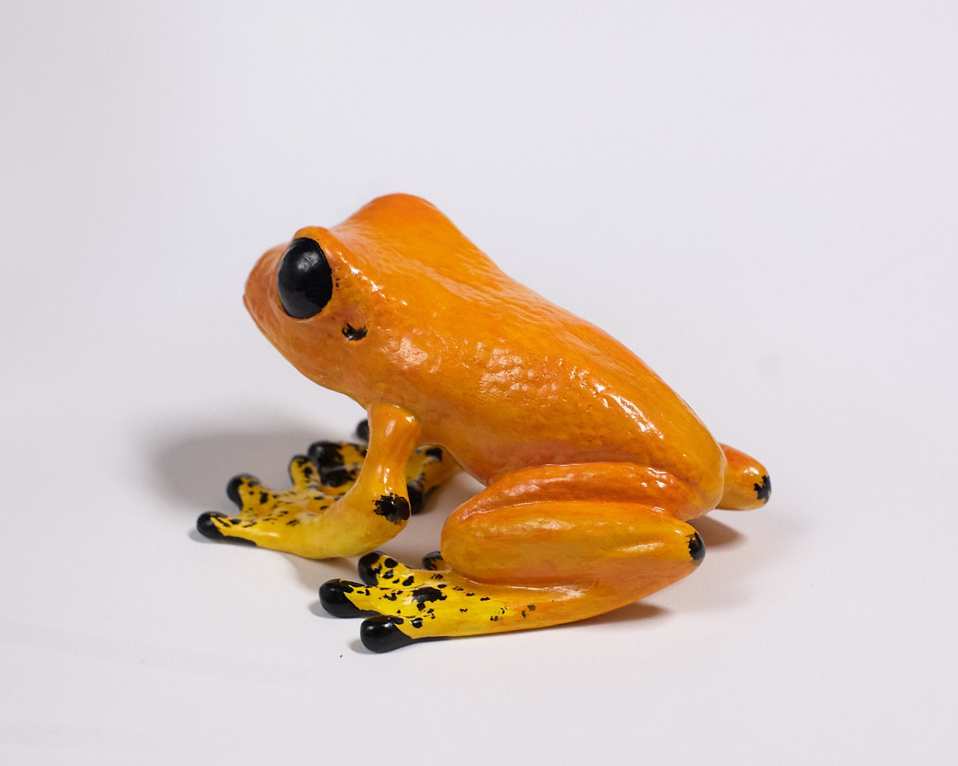 Realistic Frog With Unique Design - Etsy