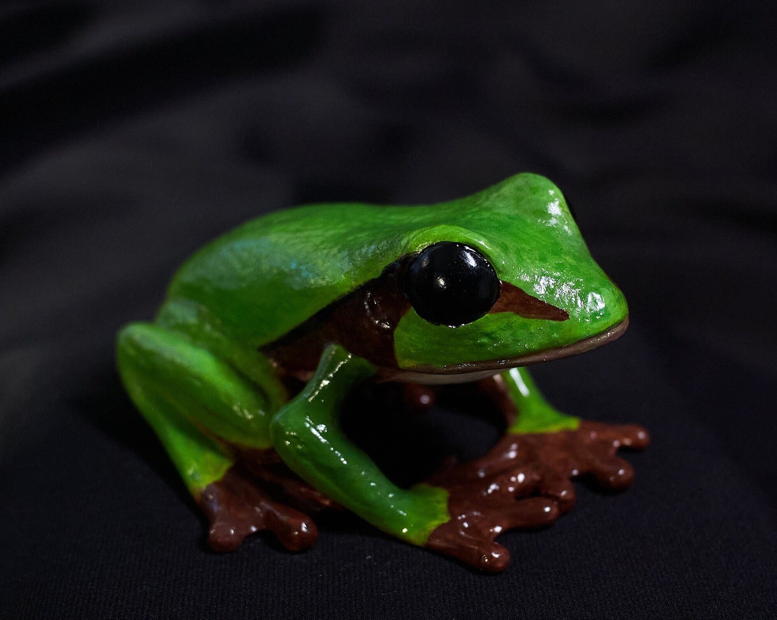 Realistic Frog With Unique Design - Etsy