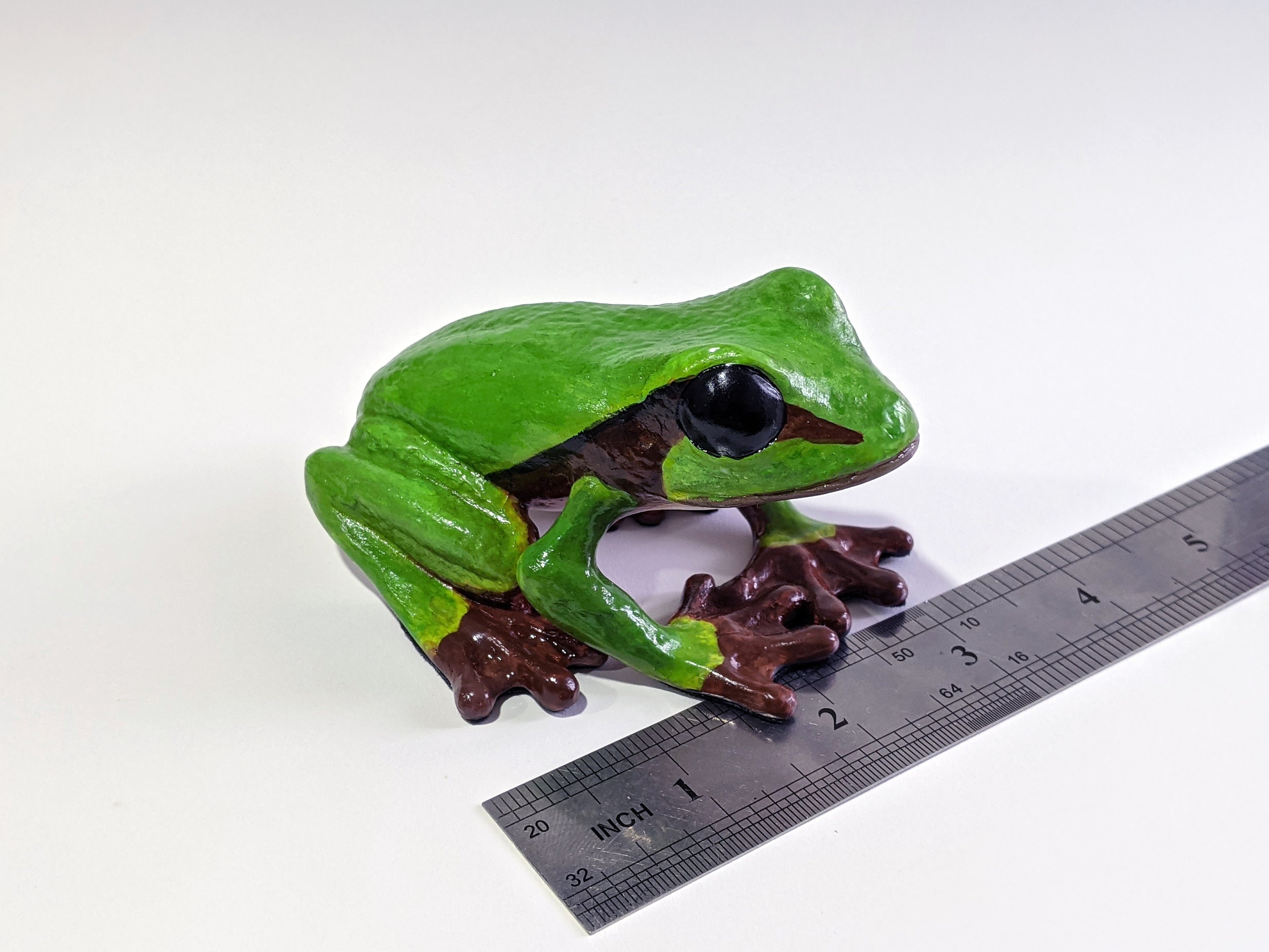Realistic Frog With Unique Design - Etsy
