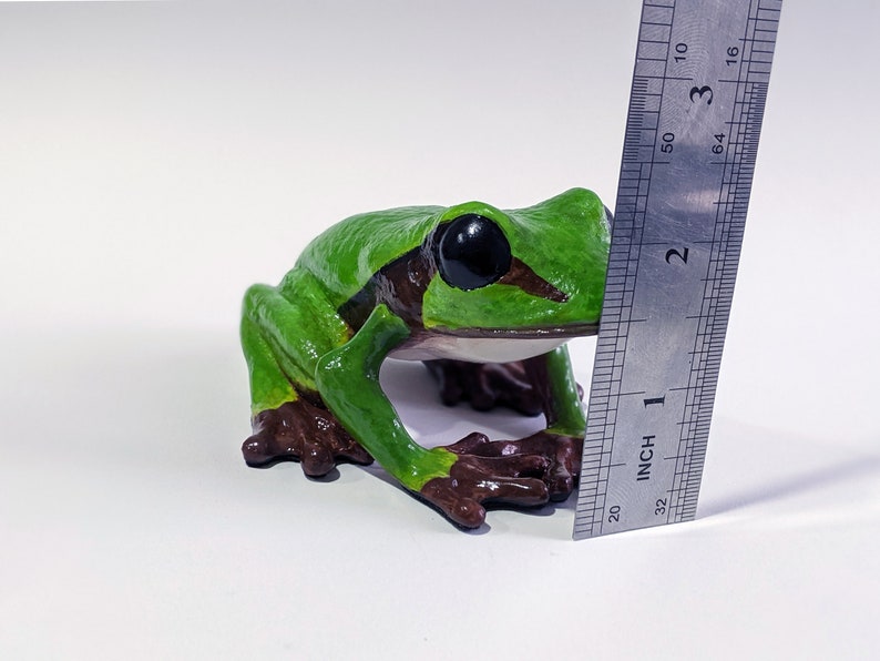 Realistic Frog With Unique Design - Etsy