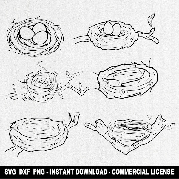 Bird Nest Art - Etsy