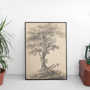 Vintage Tree Sketch, Vintage Tree Print, Antique Sketch, Pencil Drawing ...