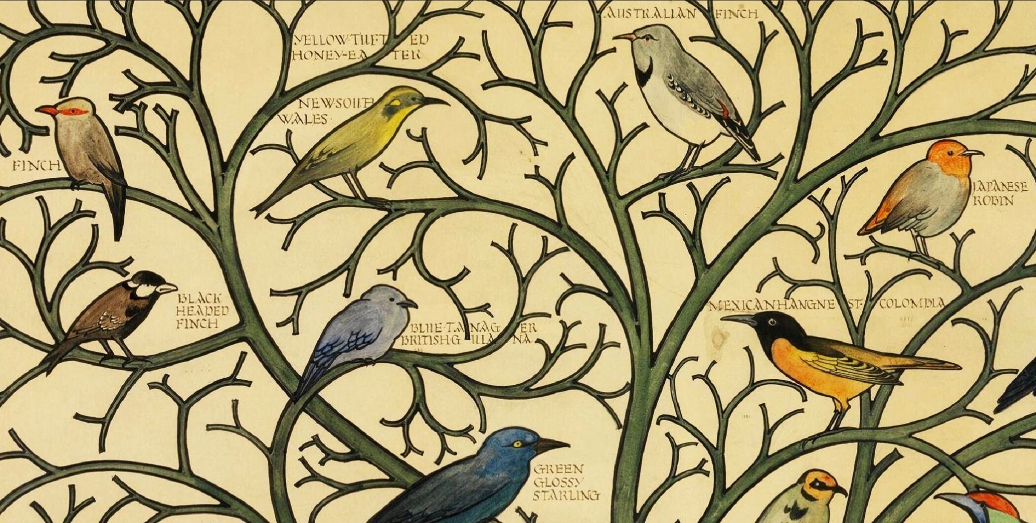 Antique Tree of Life Painting With Songbirds - Vintage Birds Art Print ...