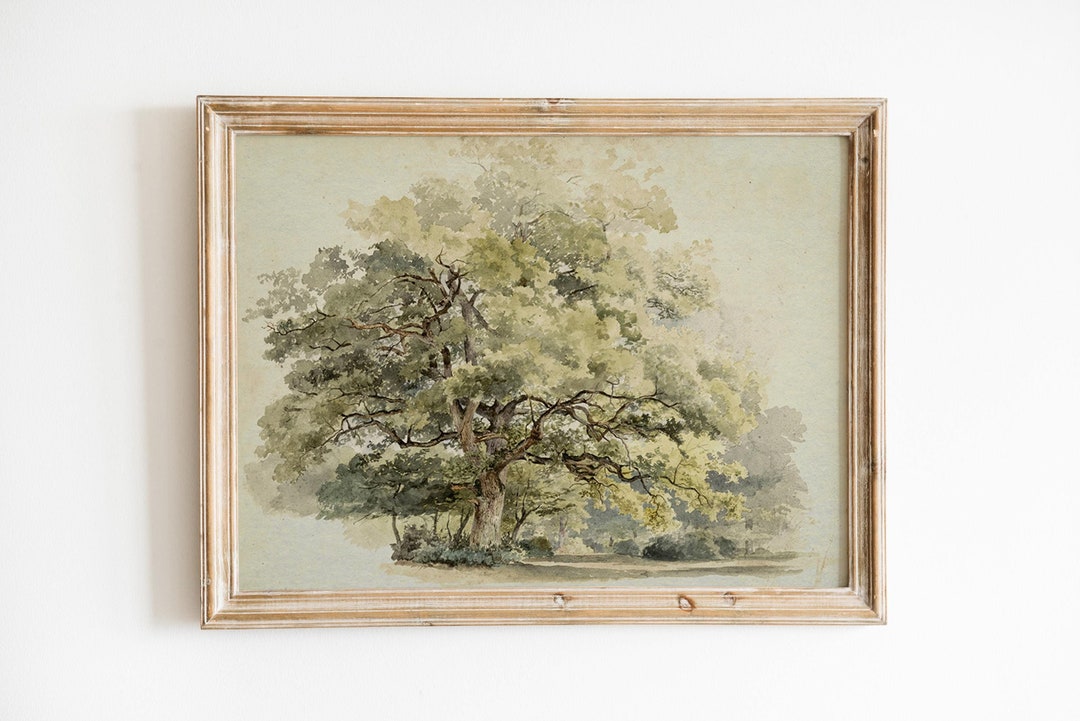 Vintage Tree Painting, Vintage Tree Print, Tree Drawing, Vintage ...