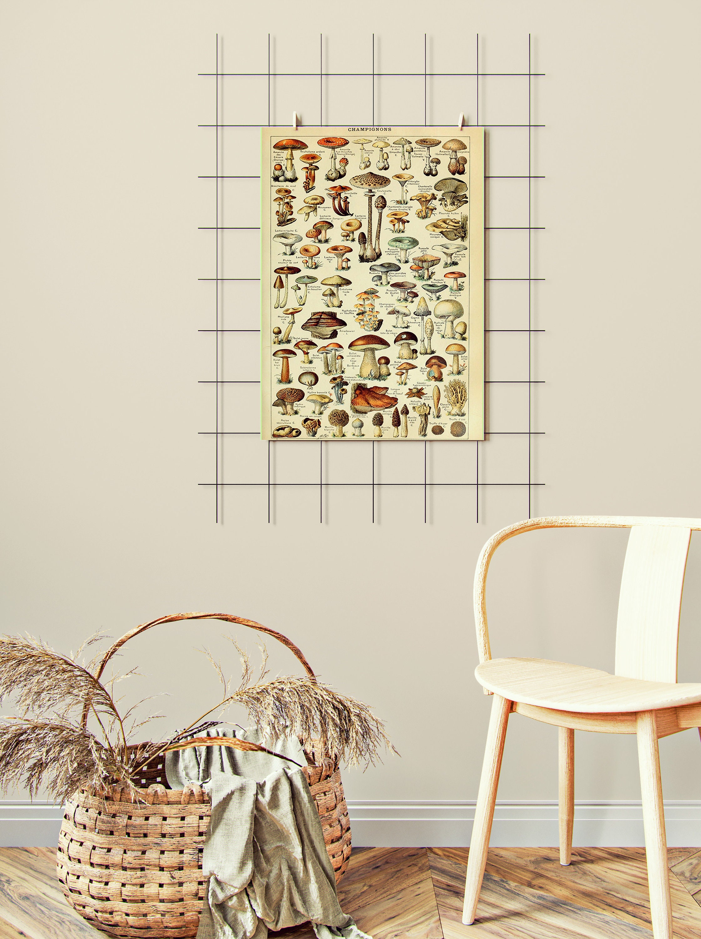 1900s Vintage Lithograph Food Botany Poster, Vintage Fungi Poster sold ...