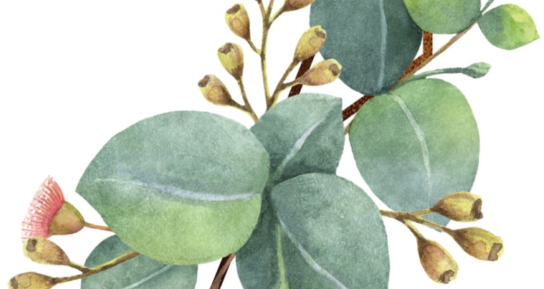 Watercolor Gold Eucalyptus Geometric Frame Gold Eucalyptus - Etsy