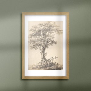 Vintage Tree Sketch, Vintage Tree Print, Antique Sketch, Pencil Drawing ...