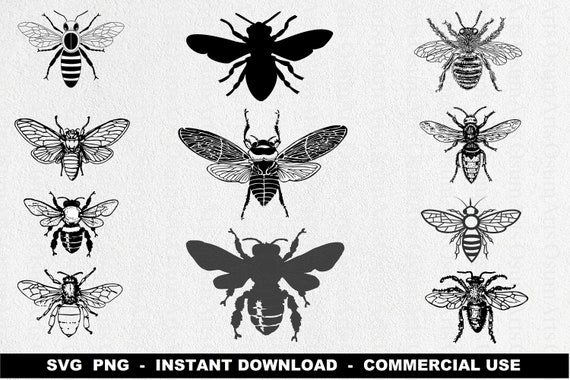 Bee Bundle SVG Set of 11 Bee Svg File Bee Cricut File Bee | Etsy