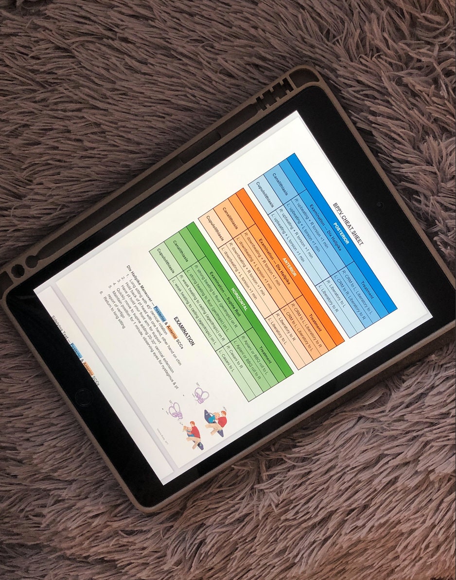 BBPV DIGITAL Study Guide - Etsy