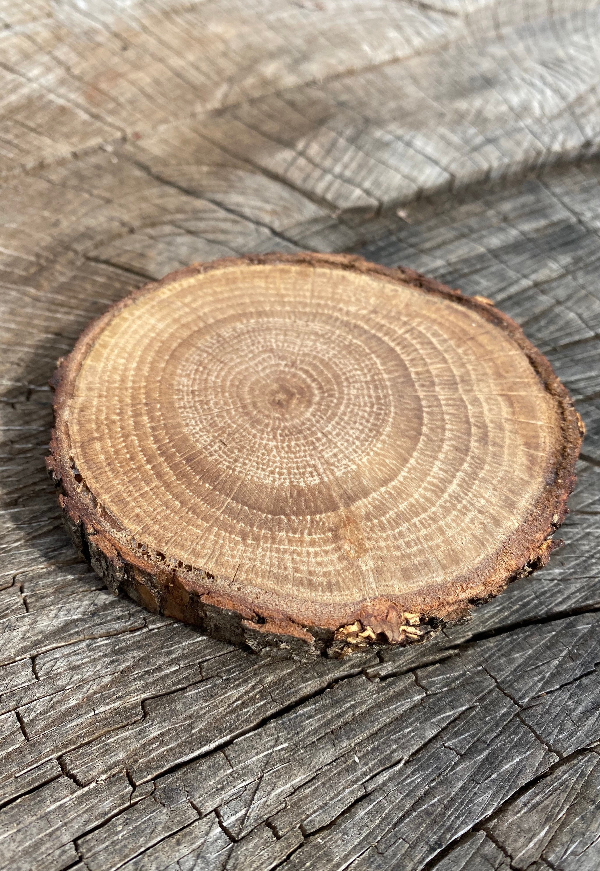 Wooden Coasters Set of 4, Wood Coasters, Wooden Table Decor, Natural ...