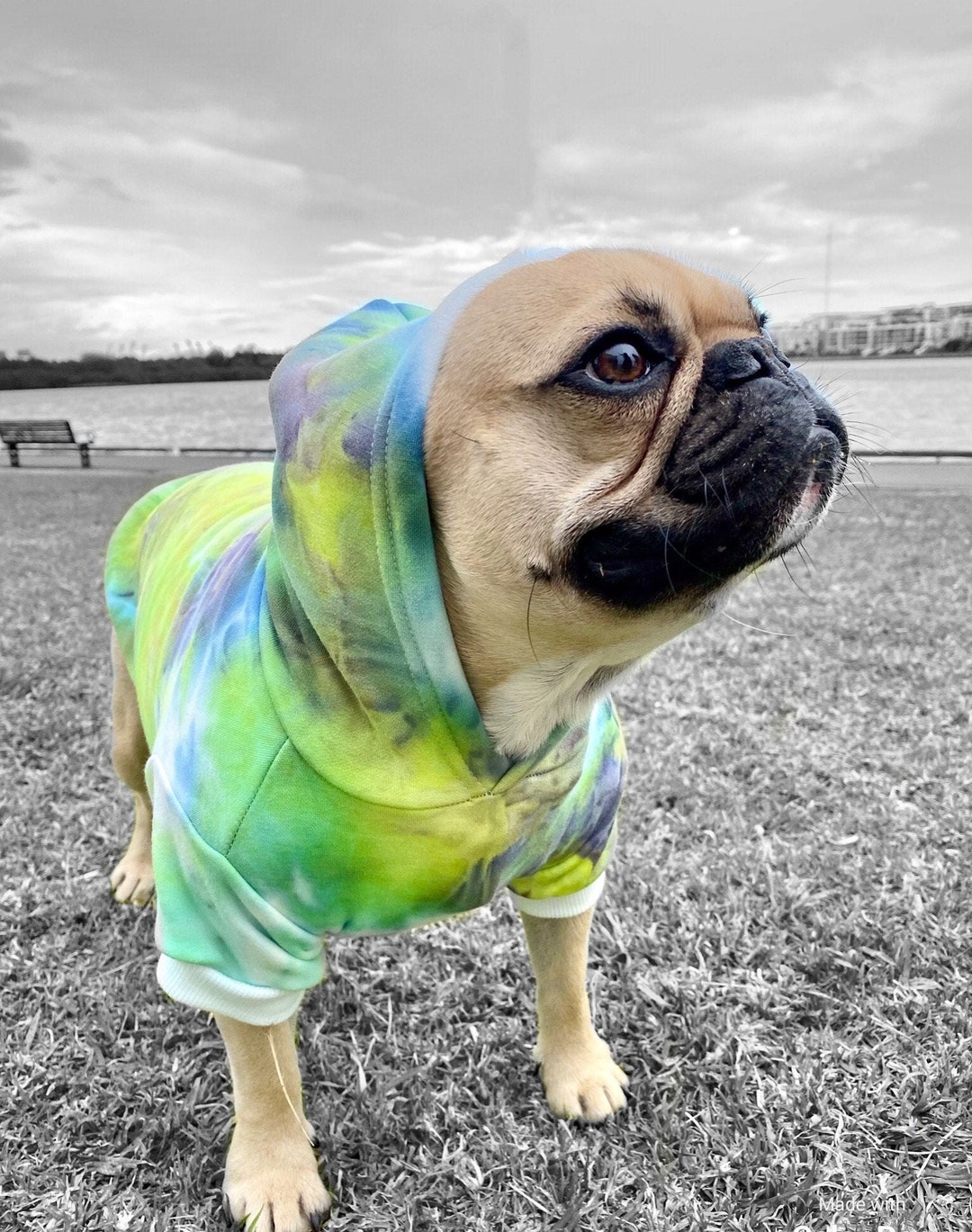 Bright Green Dog Hoodie, Dog Clothes, Dog Sweatshirt, Dog Jacket, Dog ...